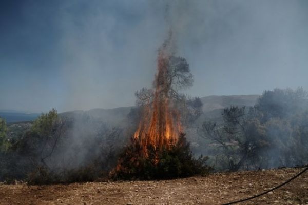 Καίγεται ξανά το δάσος της Κέρης – Μεγάλη κινητοποίηση της Πυροσβεστικής