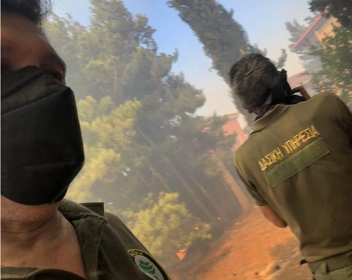 Μετά από 20 χρόνια έγιναν προσλήψεις 500 μονίμων στις δασικές υπηρεσίες
