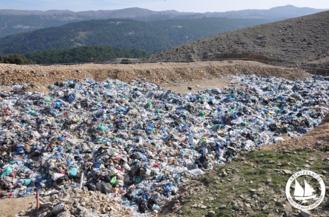 ΒΑ Αιγαίο: Μικροπλαστικοί Ρύποι σε Νεκρά Δελφίνια, Χελώνες, Φώκιες - Ecozen